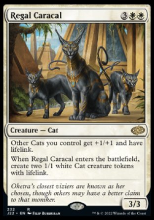 Regal Caracal - mtgpics.com