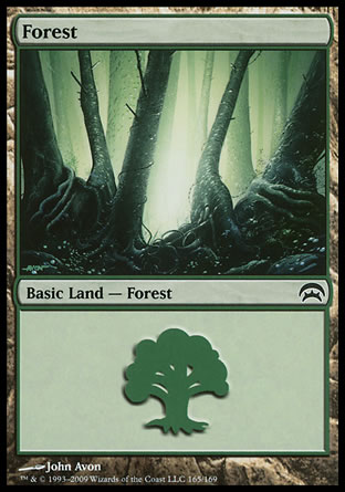 Forest - mtgpics.com