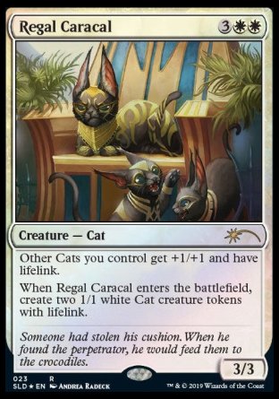 Regal Caracal - mtgpics.com